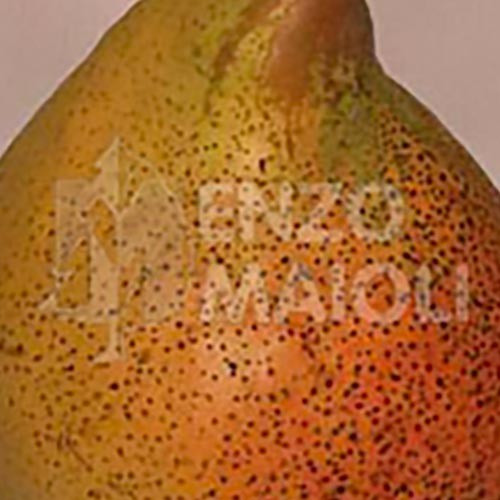 Pera Re Carlo Wurtemberg