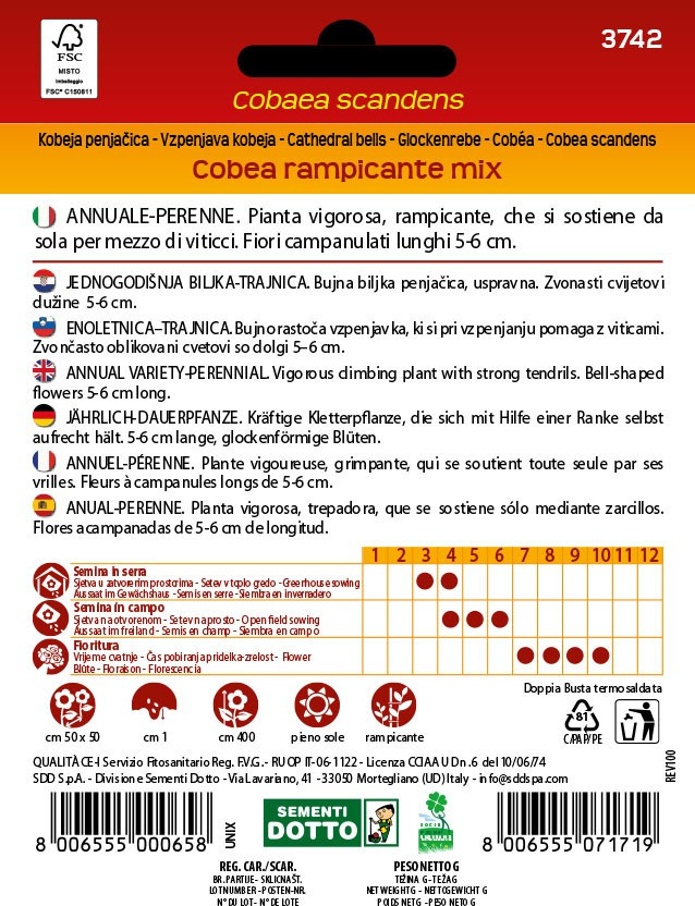 Sementi Dotto - Fiori - Cobea Rampicante Mix