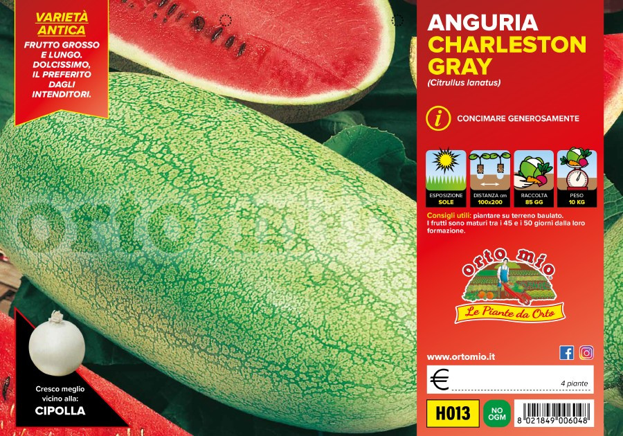 Piantine da orto – Acquista piante di basilico cetriolo cicoria cipolla ...