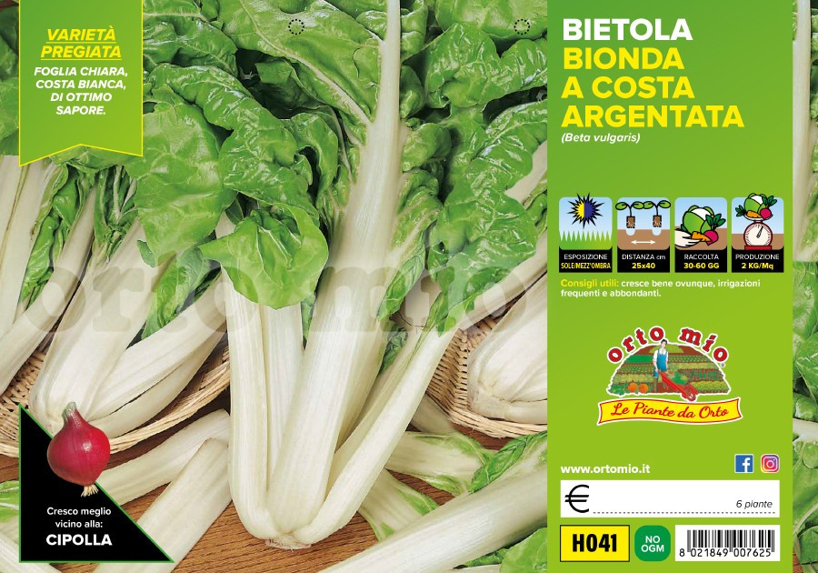 Piantine da orto – Acquista piante di basilico cetriolo cicoria cipolla ...