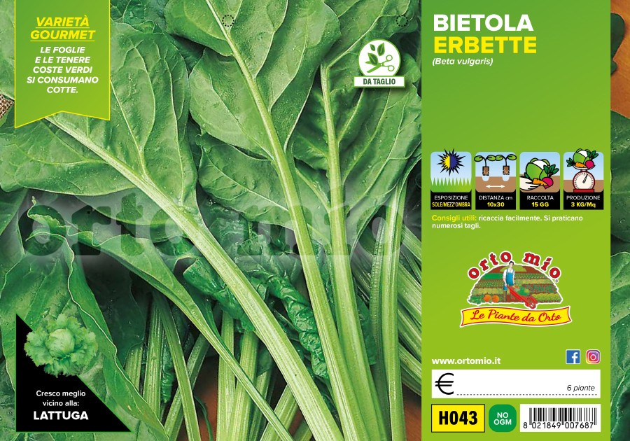 Piantine da orto – Acquista piante di basilico cetriolo cicoria cipolla ...