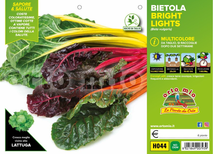 Piantine da orto – Acquista piante di basilico cetriolo cicoria cipolla ...