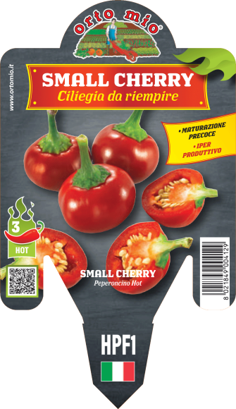 Peperoncino piccante HOT - Small Cherry - 1 pianta vaso 14 - Orto Mio