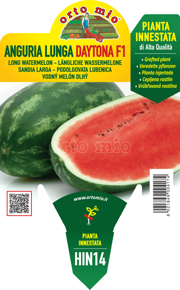 Produzione e vendita Sementi – Semi fiori per api da orto piante ...