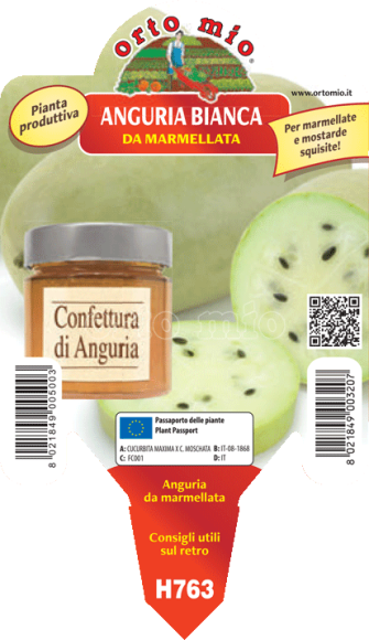 Anguria - bianca da marmellata - 1 pianta vaso 10 - Orto mio